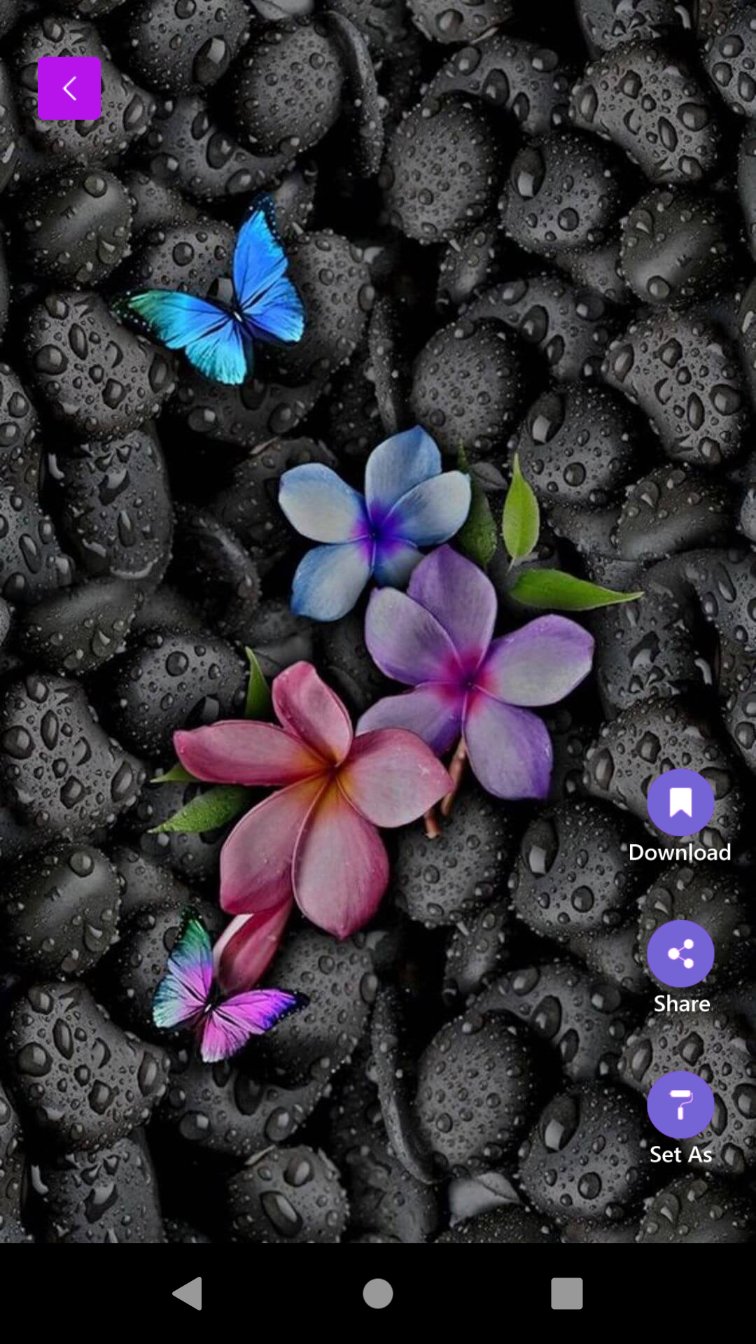 Cute Wallpapers For Girls - App on the Amazon Appstore