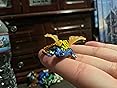 Amazon.com: Dragamonz, Ultimate Dragon 6 Pack, Collectible Figure ...