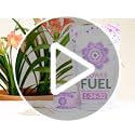 Amazon.com : Flower Fuel 1-34-32, 1000g - The Best Flower Additive for ...