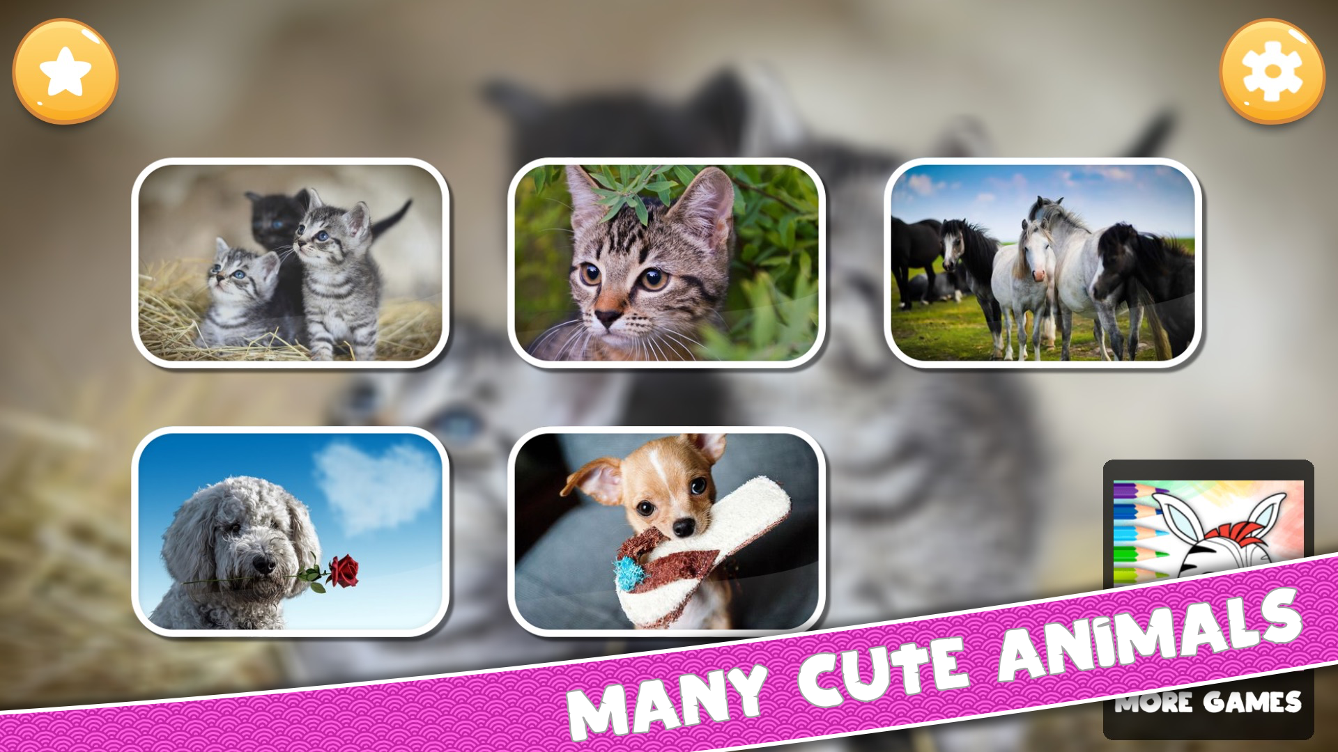 Kittens & Cats Jigsaw Puzzles for Kids - Cute, fun and Educational Cats ...