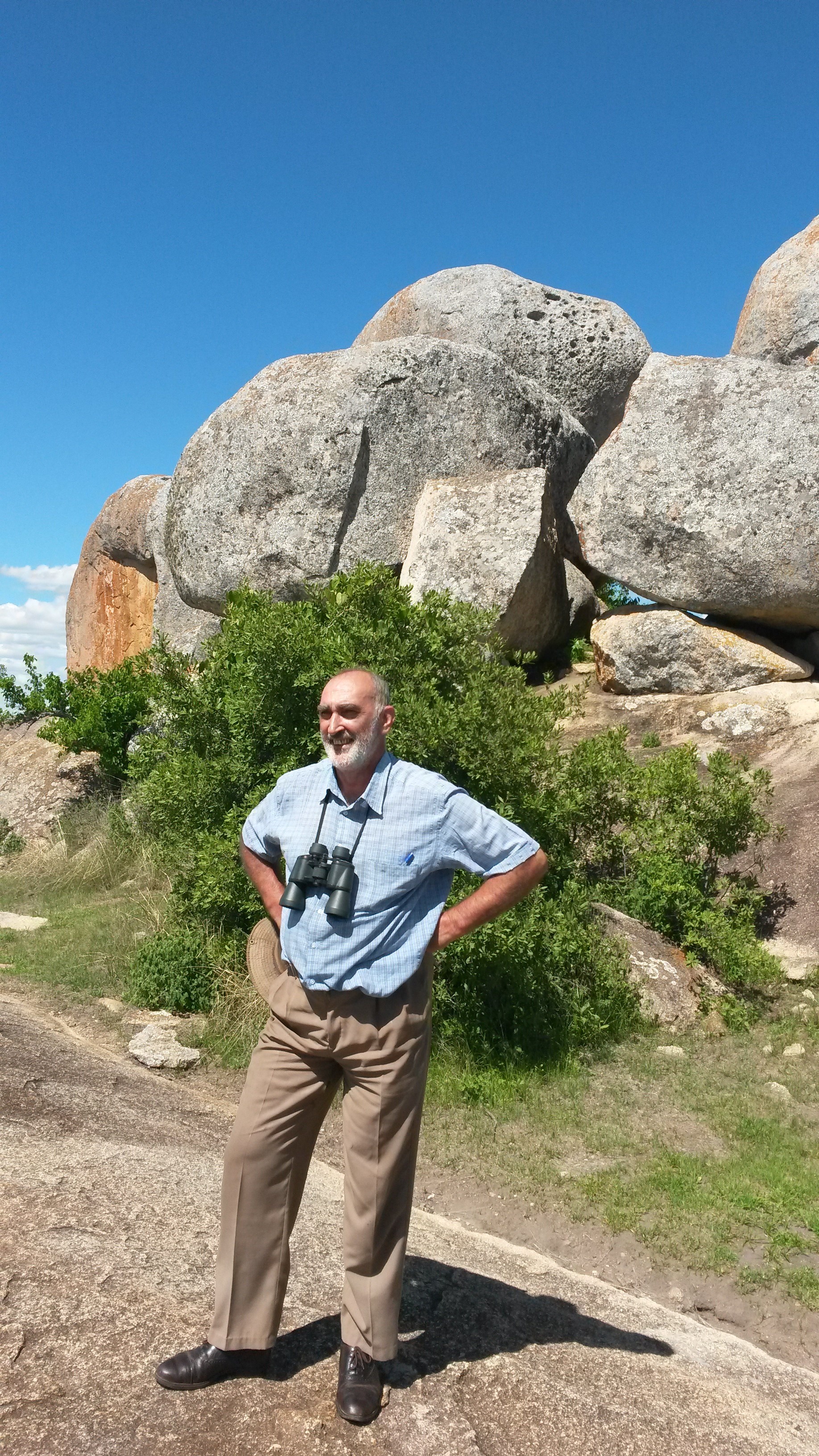 Amazon.com: Christopher Wall: books, biography, latest update