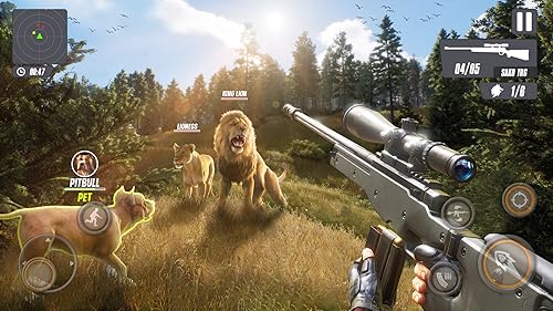 Animal Hunting - Deer Hunting Wild Deer Hunter a Deer Hunting Classic ...