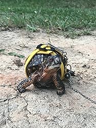 Amazon.com: Ebamaz Leather Harness Strap for Tortoise/Turtle Pet ...