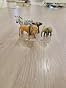 SCHLEICH Wild Life Starter-Set Action Figure, Multicolor : Amazon.ca ...