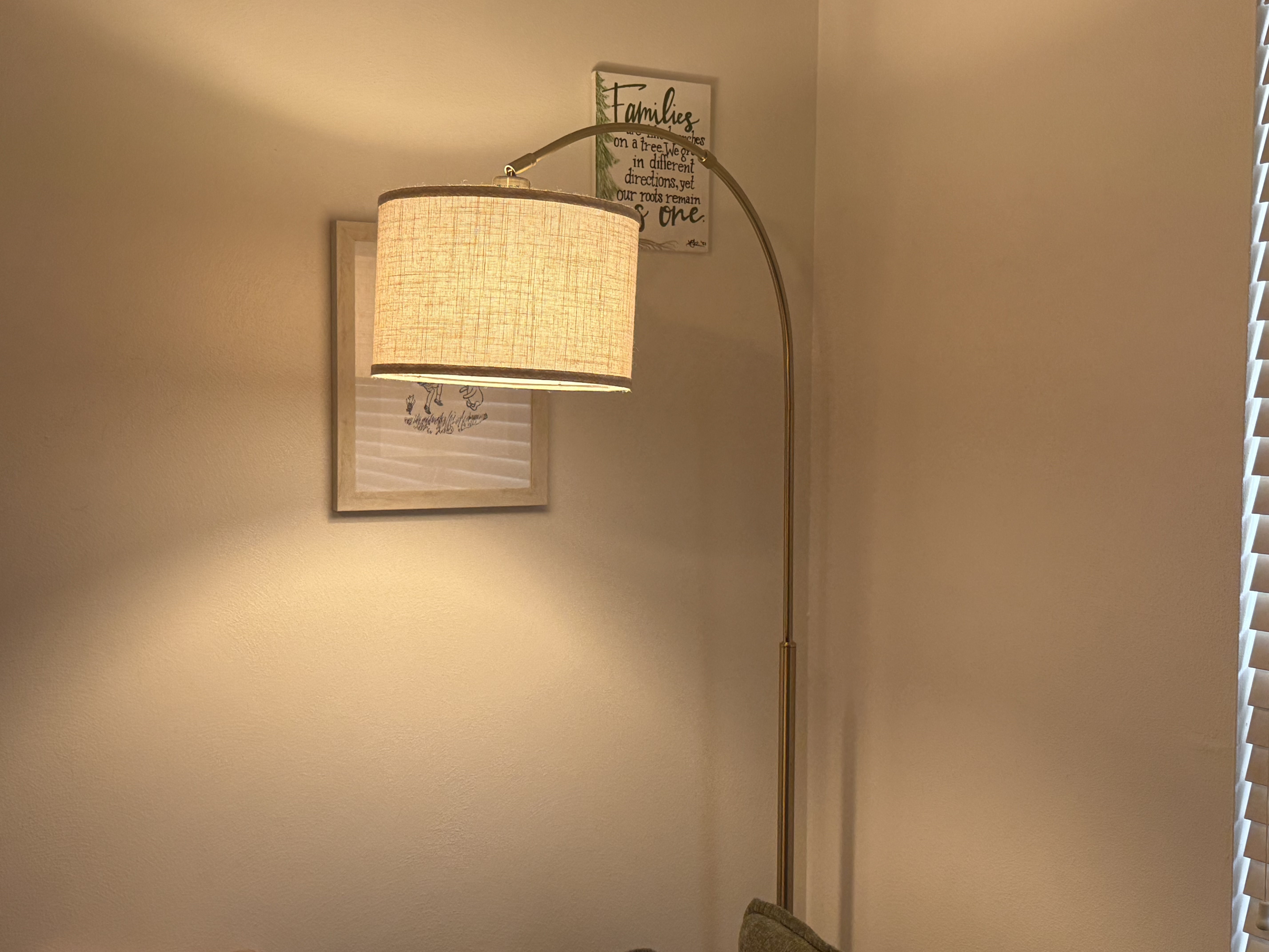 Watch Honest Review of the Gold Floor Lamp on Amazon Live