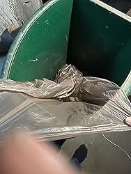 Biosak Compostable Green Bin Liners, 60.96 cm × 76.2 cm (24 in × 30 in ...