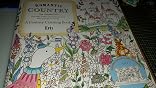 Amazon.com: Romantic Country: The Second Tale: A Fantasy Coloring Book ...
