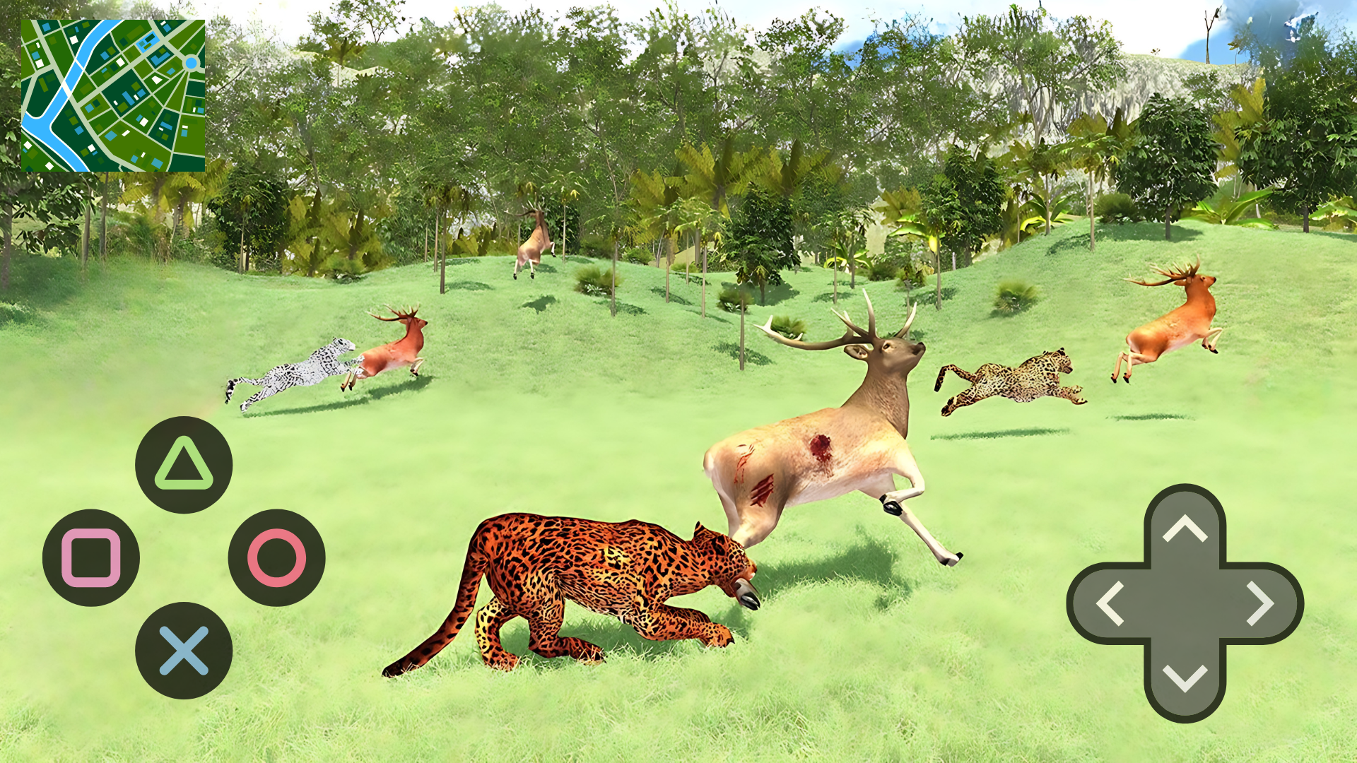 Cheetah Simulator- Wildlife Games - App on Amazon Appstore