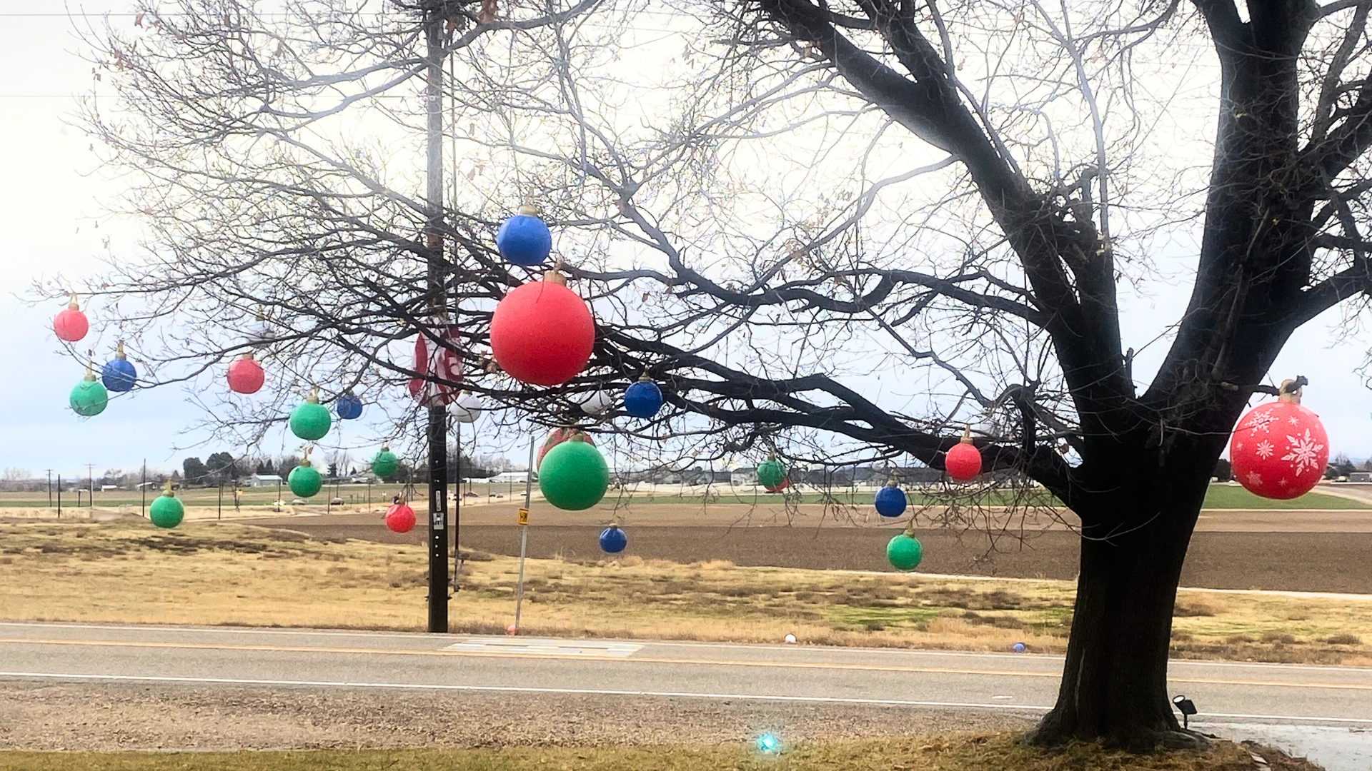 Watch THE BEST Christmas Decor& Inflatable Ornaments! on Amazon Live