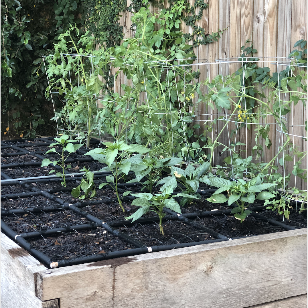Grid Garden Raised Bed Irrigation Garden In Minutes Review Raised