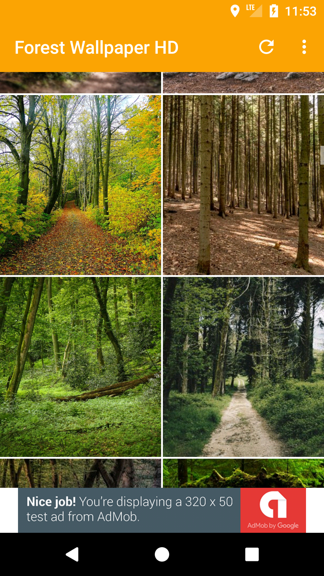 Forest Wallpaper HD - App on Amazon Appstore