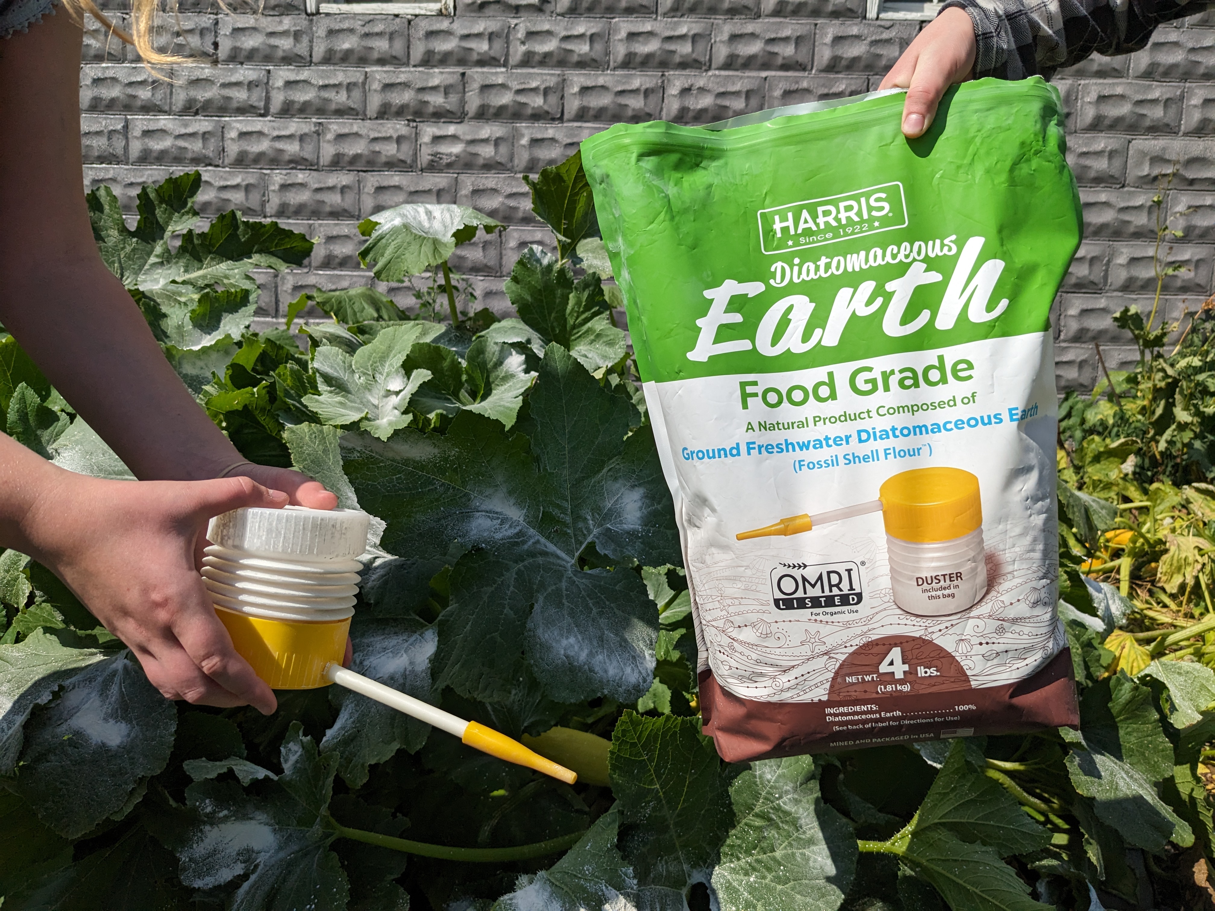 Watch Food Safe Way to Exterminate Bugs from Garden! on Amazon Live