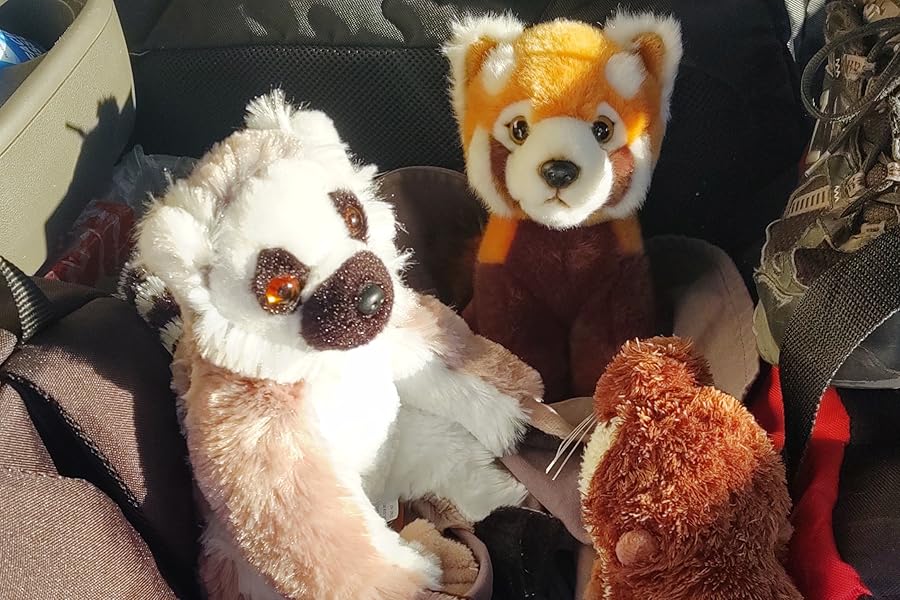 Zoos of the Midwest: A Travel Guide of 28 Midwestern Zoos and Photo ...