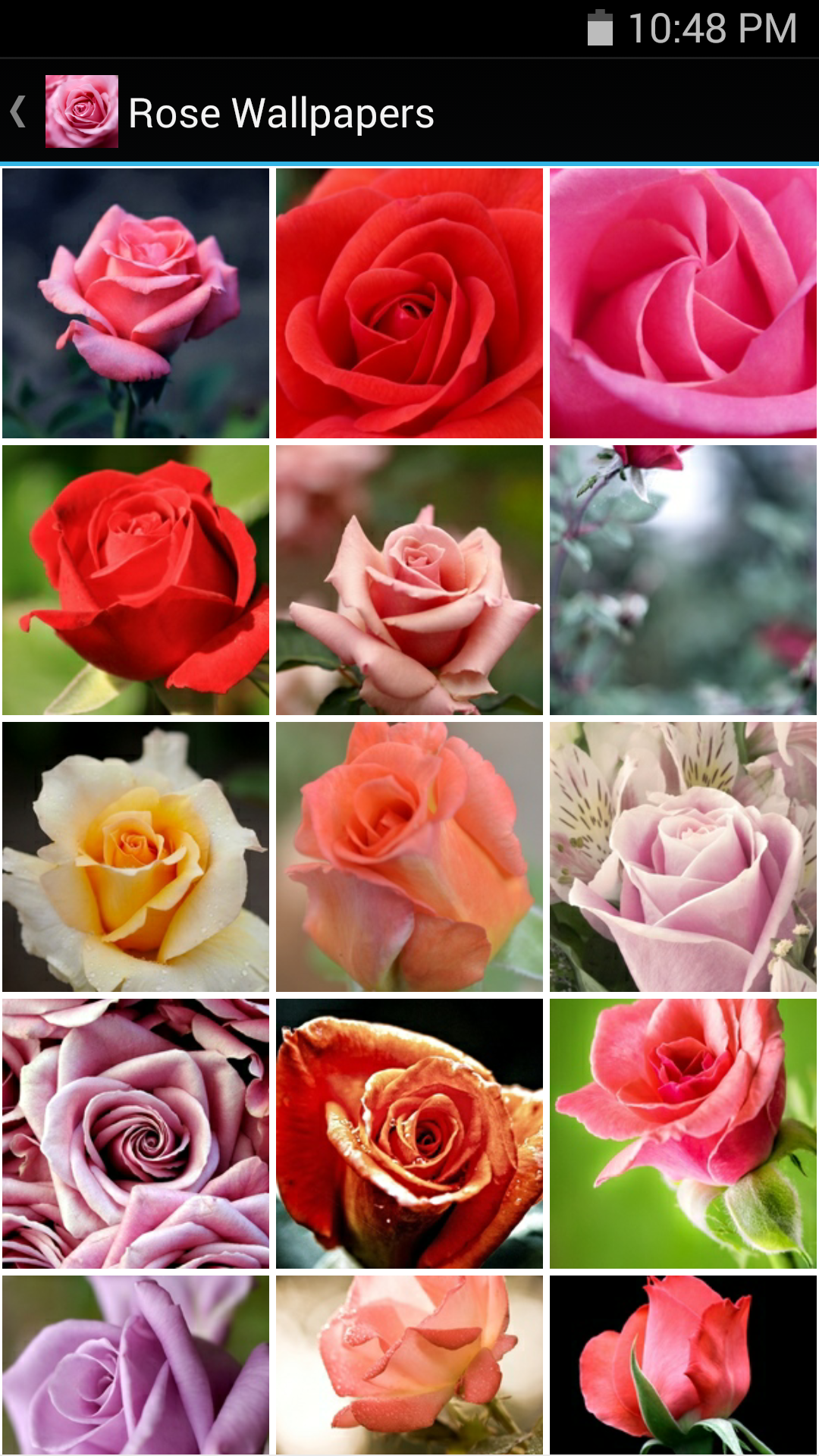 Rose Wallpapers - App on Amazon Appstore