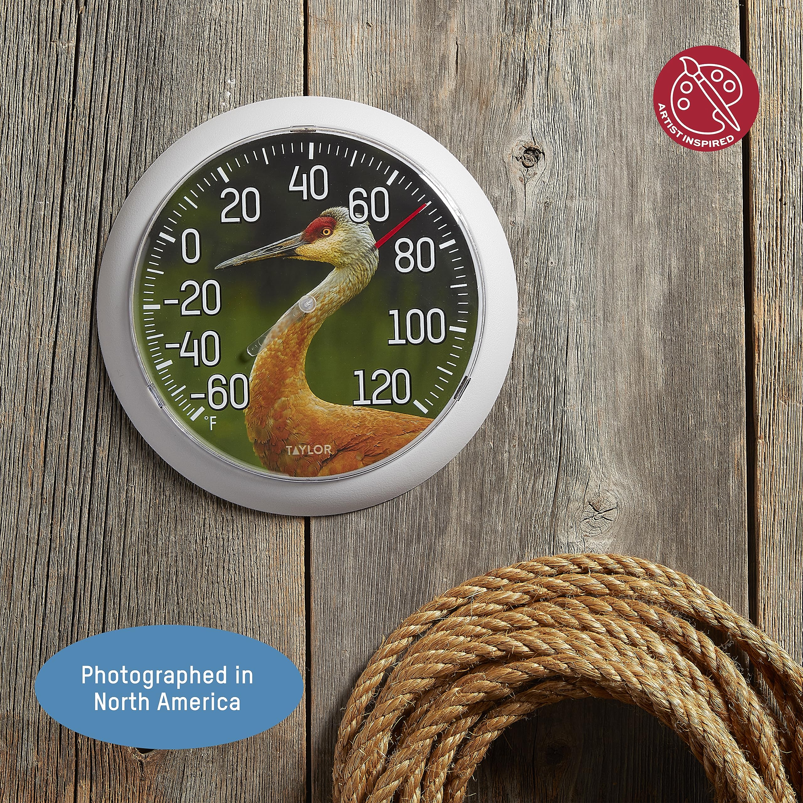 Snapklik.com : Taylor Nature Series Sandhill Crane Indoor Outdoor Dial ...