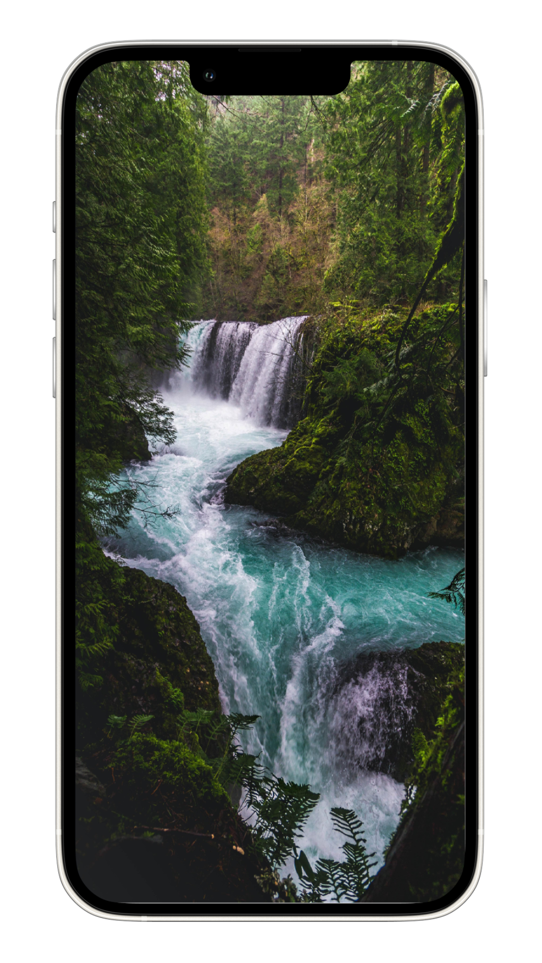 Nature Wallpaper - App on Amazon Appstore