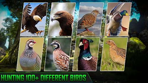 Bird Hunting Games Play Online