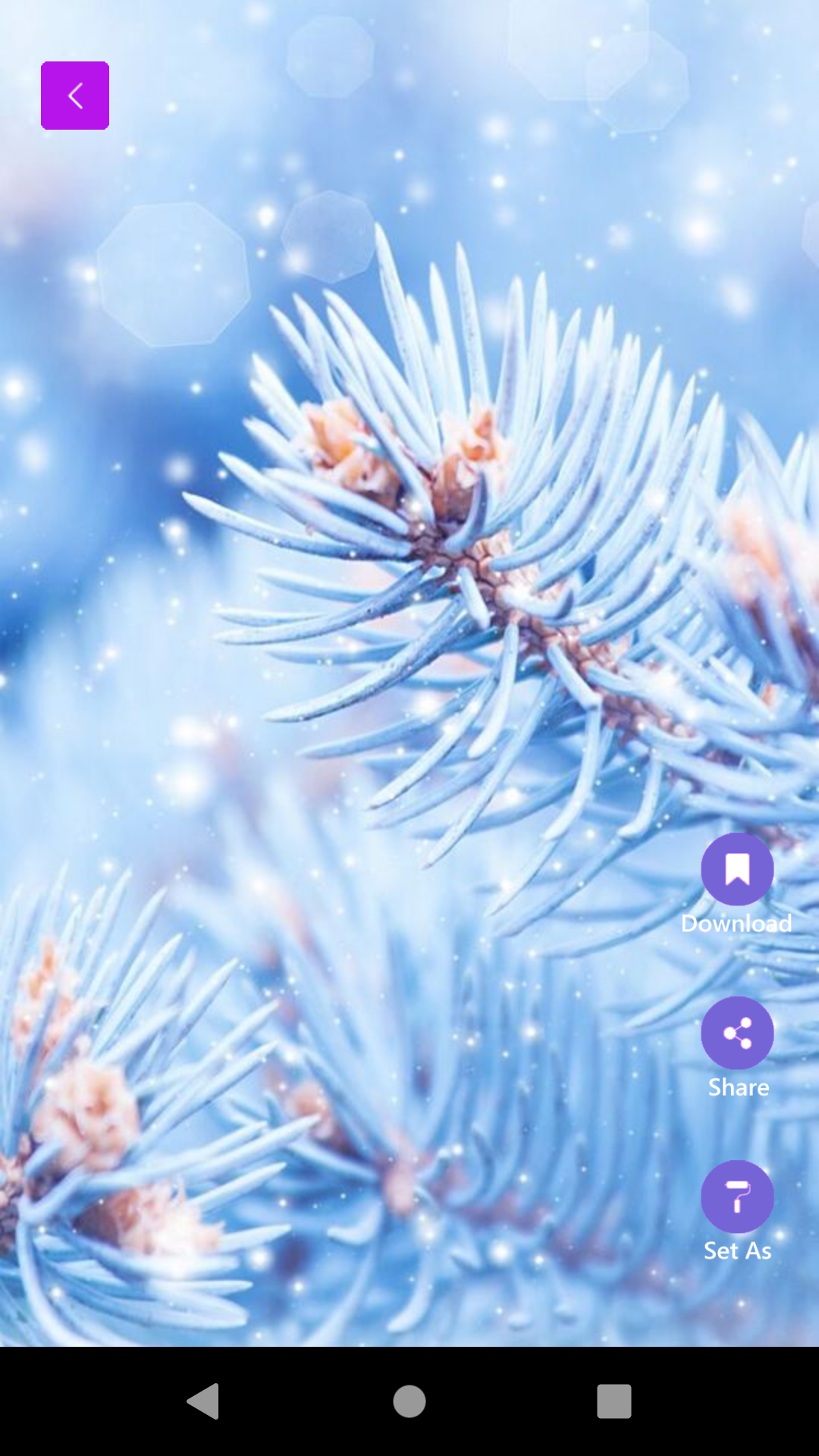 Wallpapers for Whatsapp Chat - App on Amazon Appstore