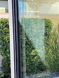 Amazon.com: Windex Outdoor All-In-One Glass and Window Cleaner Tool ...