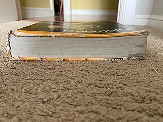 Amazon.com: Geometry: Common Core Grade 10: 9780133185829: Pearson ...