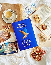 Still Life: The instant Sunday Times bestseller and BBC Between the ...