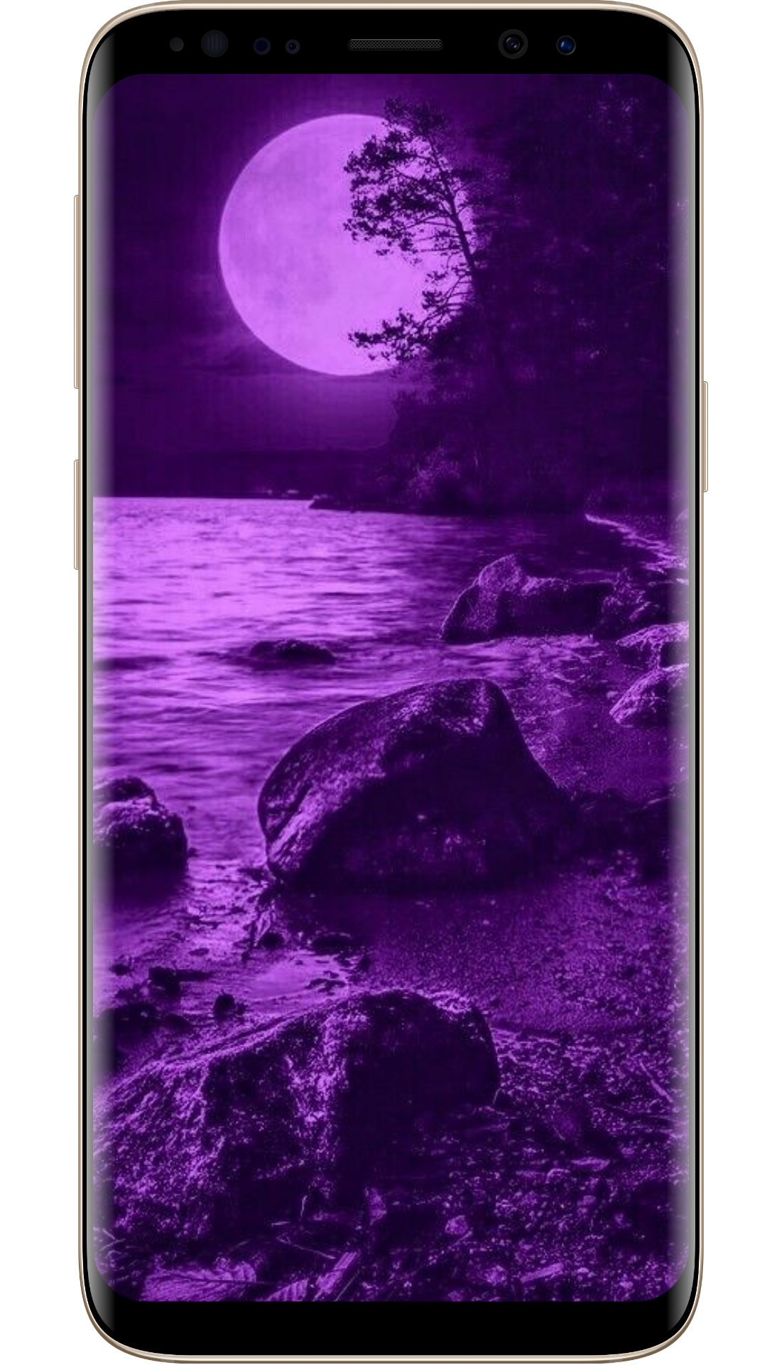 Purple wallpaper HD - Wallpaper HD : Purple wallpaper and backgrounds ...