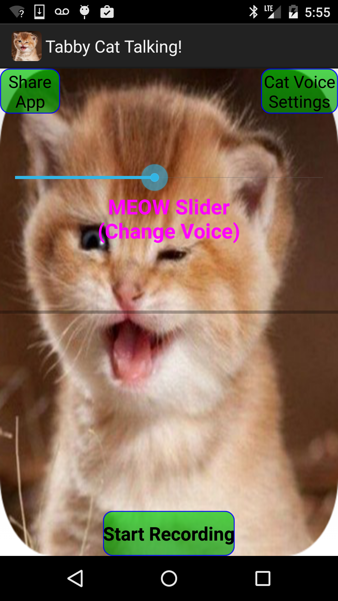 Talking Tabby Cat Voice Changer - App on Amazon Appstore