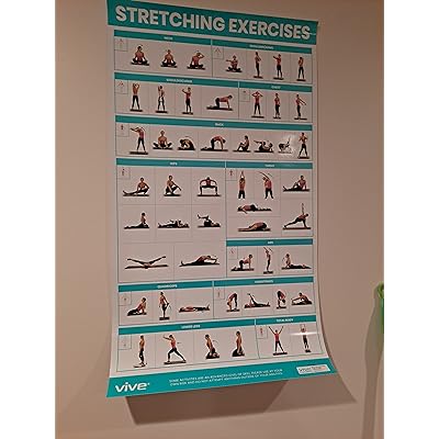 Buy Vive Workout Poster - Stretching Exercise - Stretch for Rehab, Gym ...