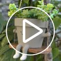 Amazon.com : Hanging Planter Swing Face Plant Pot - Cute Resin Head ...