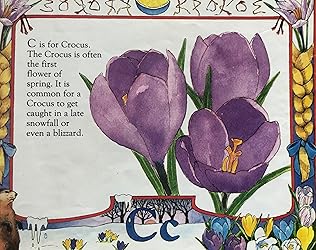 The Flower Alphabet Book: Jerry Pallotta, Leslie Evans: 9780881064599 ...