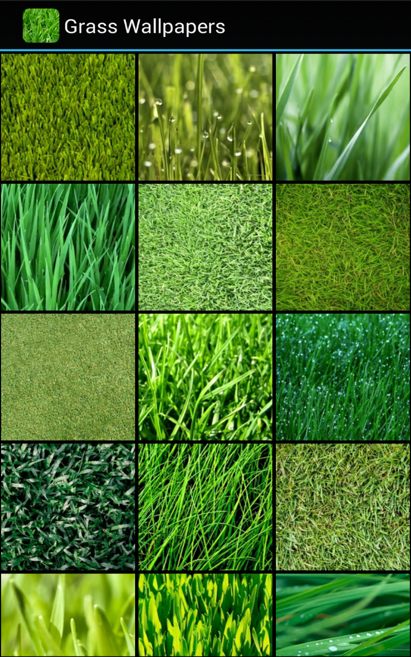 Grass Wallpapers - App on Amazon Appstore
