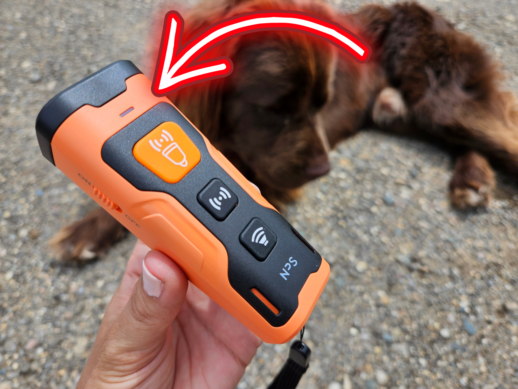 Watch Watch BEFORE buying NPS dog trainer! Honest Customer Review! on ...