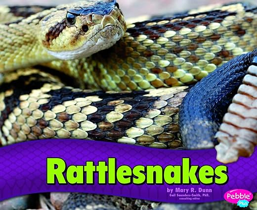 Rattlesnakes: Dunn, Mary R.: 9781476520858: Amazon.com: Books