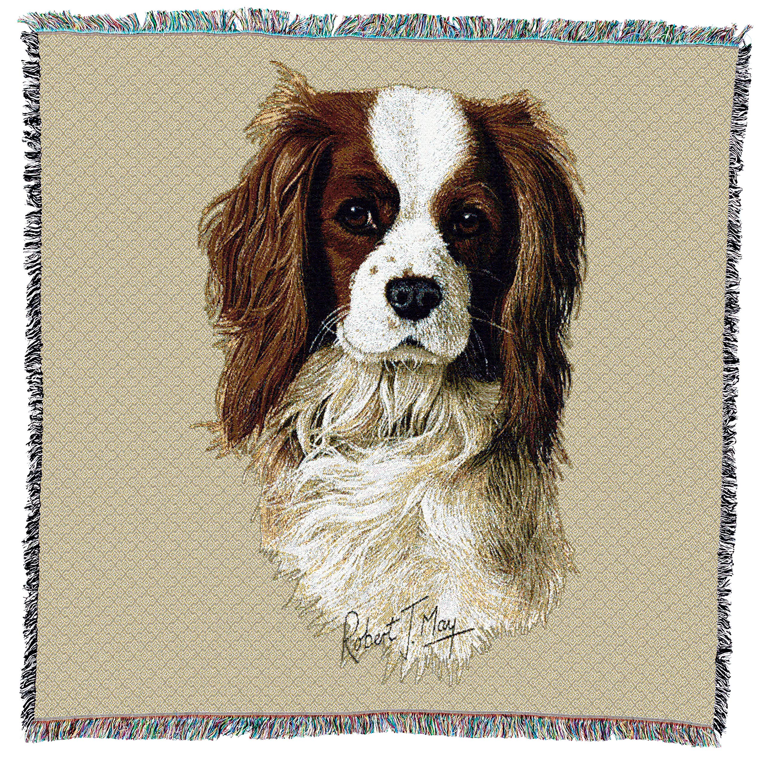 Can A Cavalier King Charles Spaniel And A Chinese Crested Dog Be Friends