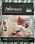 Athenaze, Workbook I: An Introduction to Ancient Greek: Balme, Maurice ...