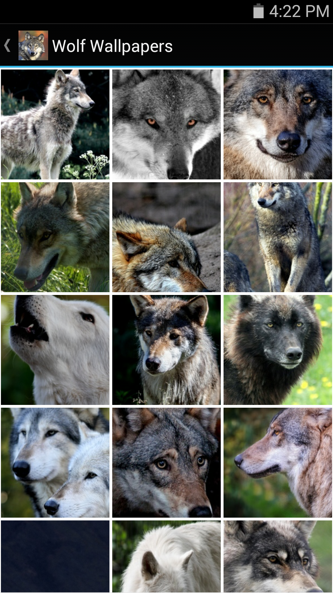 Wolf Wallpapers - App on the Amazon Appstore