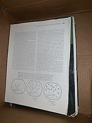 Molecular Genetics of Bacteria, 4th Edition (ASM Books): Snyder, Larry ...