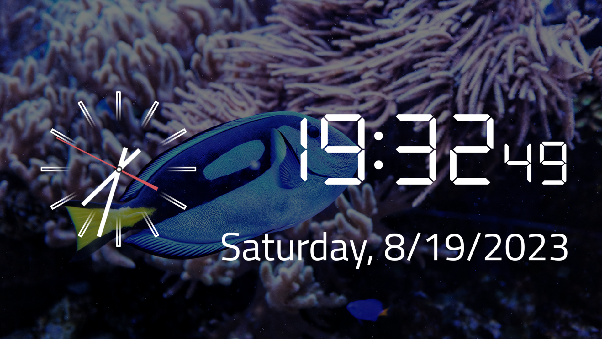 Aquarium Screensaver & Analog And Digital Clock For Tablets & Fire TV ...