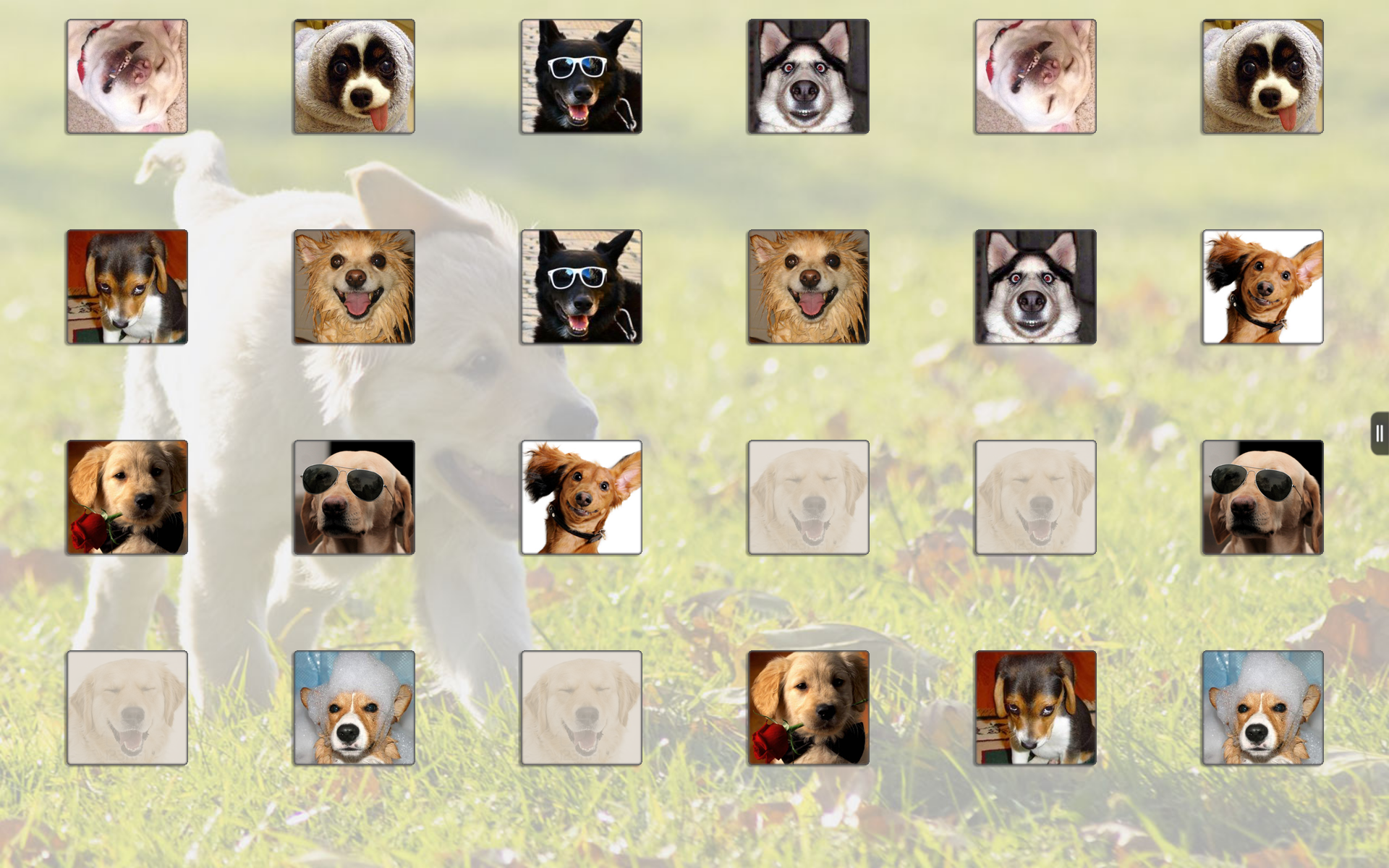 Dogs Memory Game Free - App on Amazon Appstore