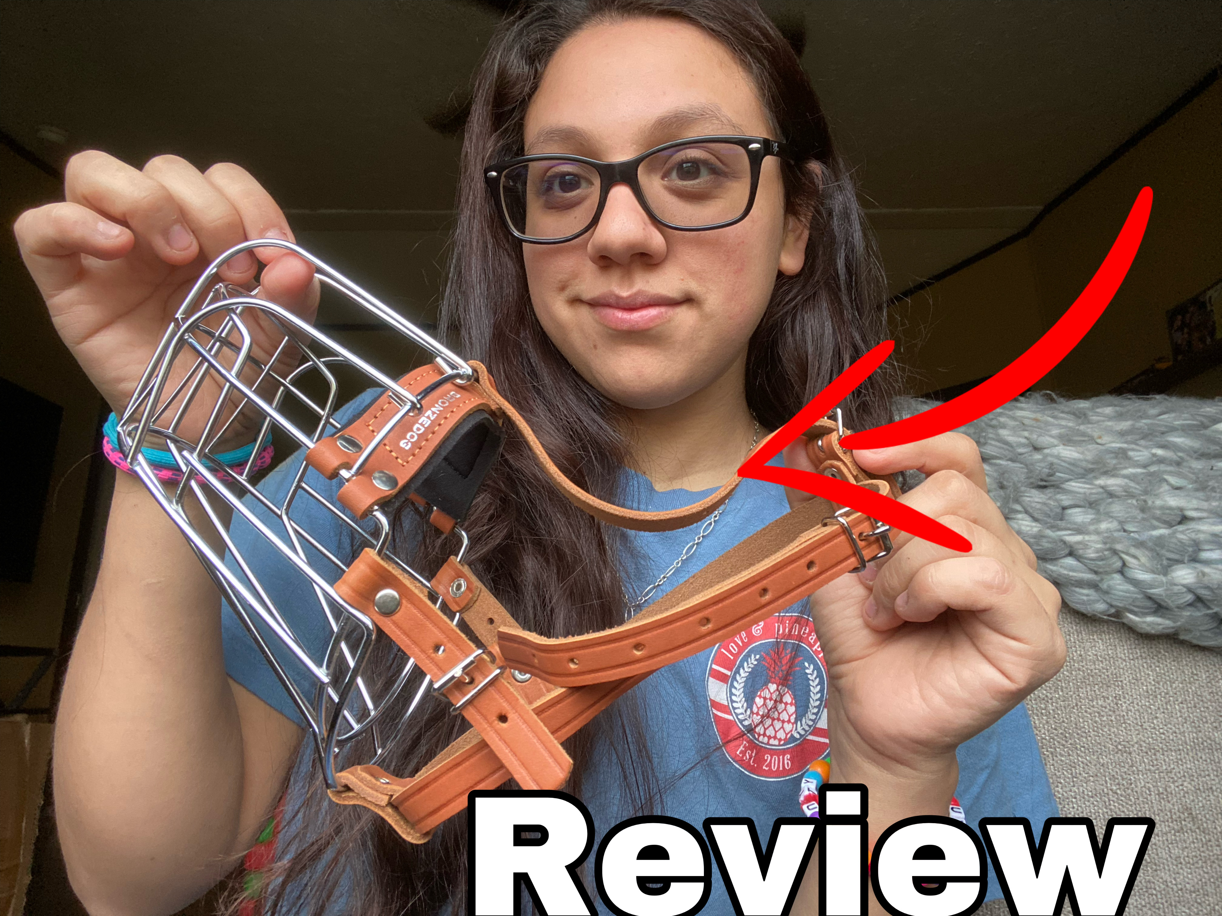 Watch Honest Review- BRONZEDOG Pitbull Dog Muzzle Metal Mask on Amazon Live