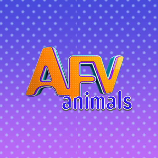AFV Animals-Animal & Pet Video - App on Amazon Appstore