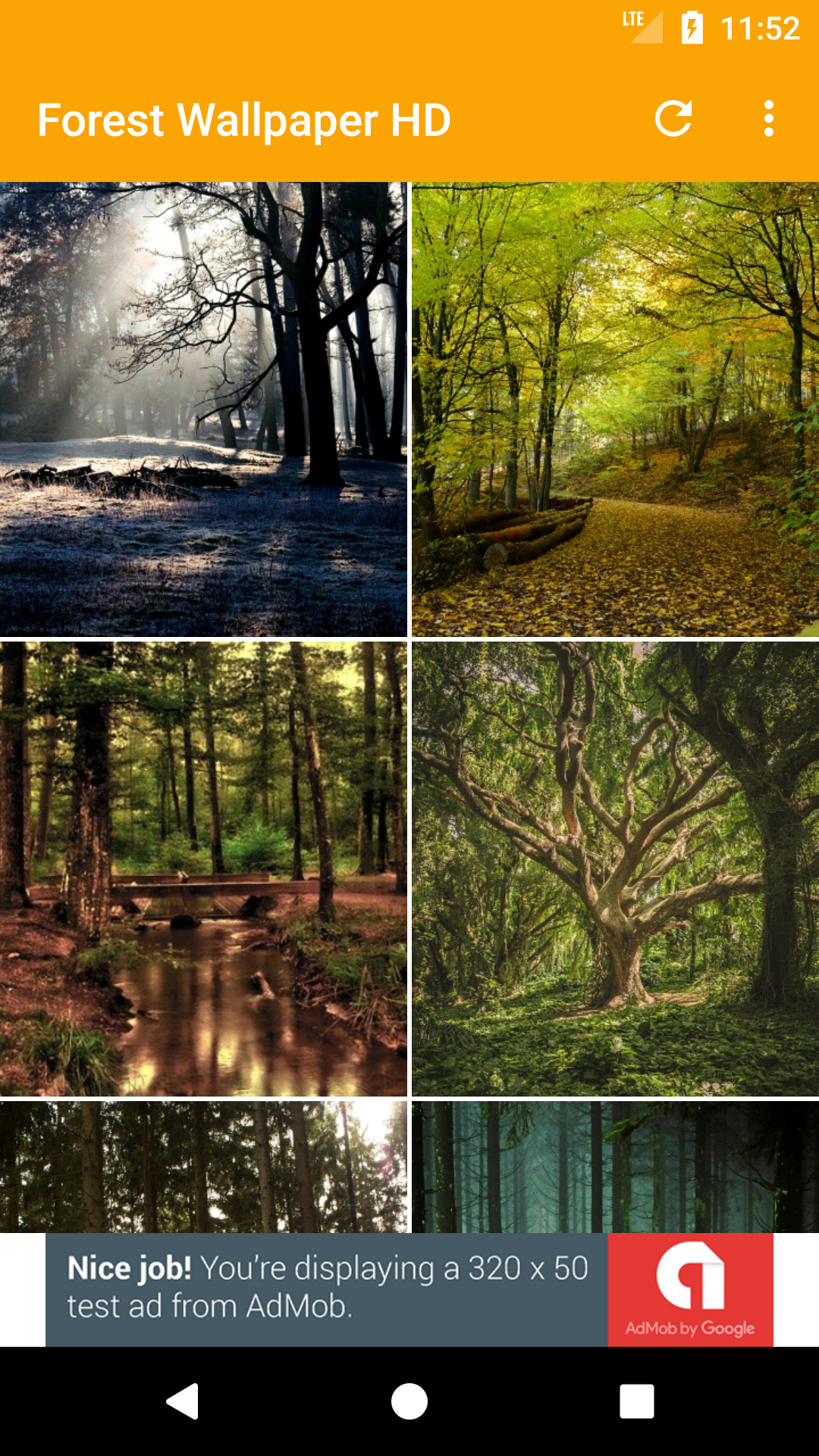 Forest Wallpaper HD - App on Amazon Appstore