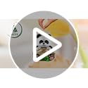 Amazon.com: HZYC Panda Christmas Tree Ornaments, Handmade Glass Blown ...