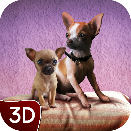 Chihuahua Virtual House Pet Puppy Game: My Cute Dog Sim - App on Amazon ...