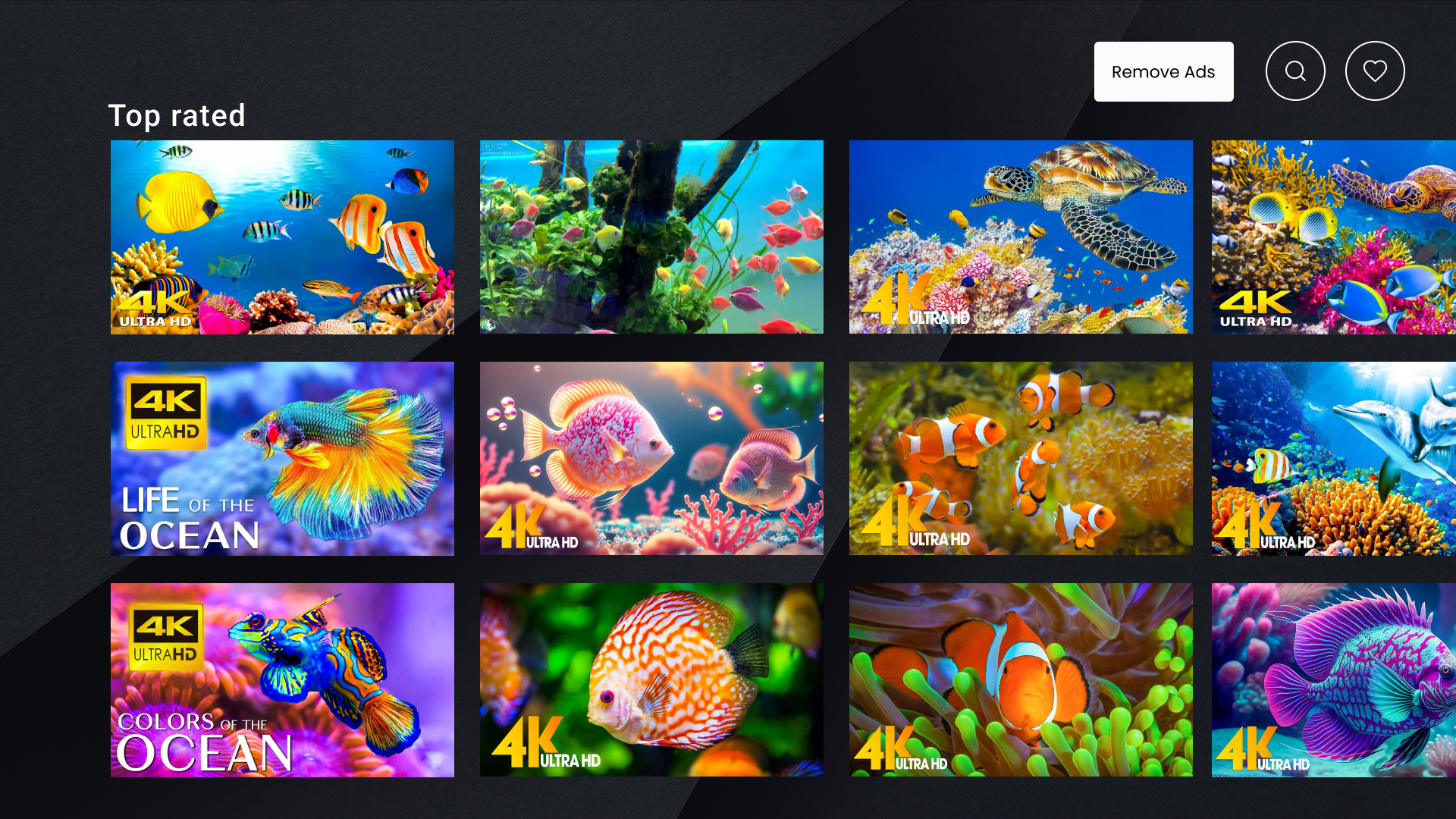 Bluebox TV - App on Amazon Appstore