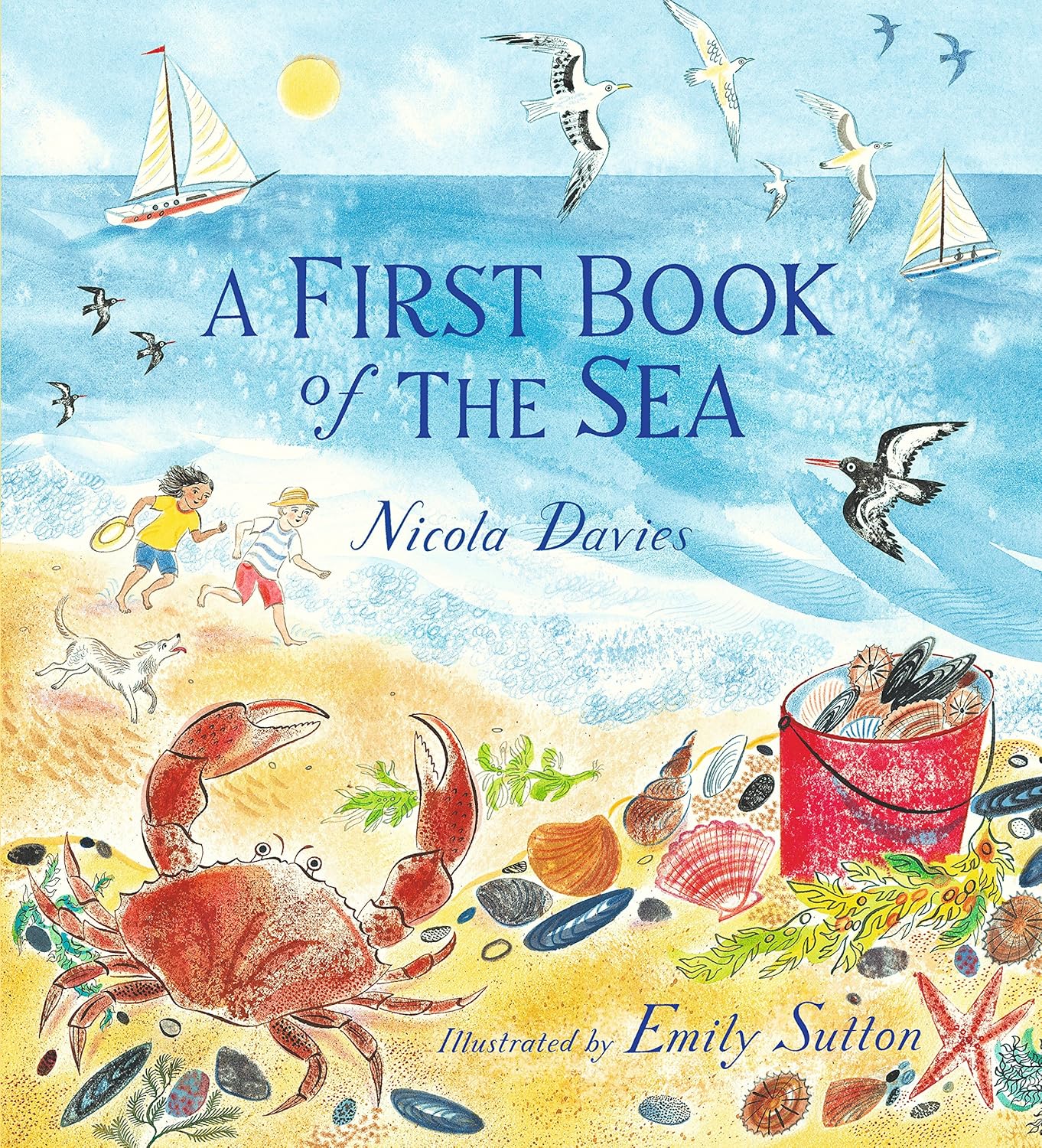 A First Book of the Sea: Davies, Nicola, Sutton, Emily: 9780763698829 ...