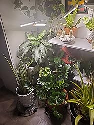 HIGROW Grow Lights for Indoor Plants, 315 LED Full Spectrum Plant ...