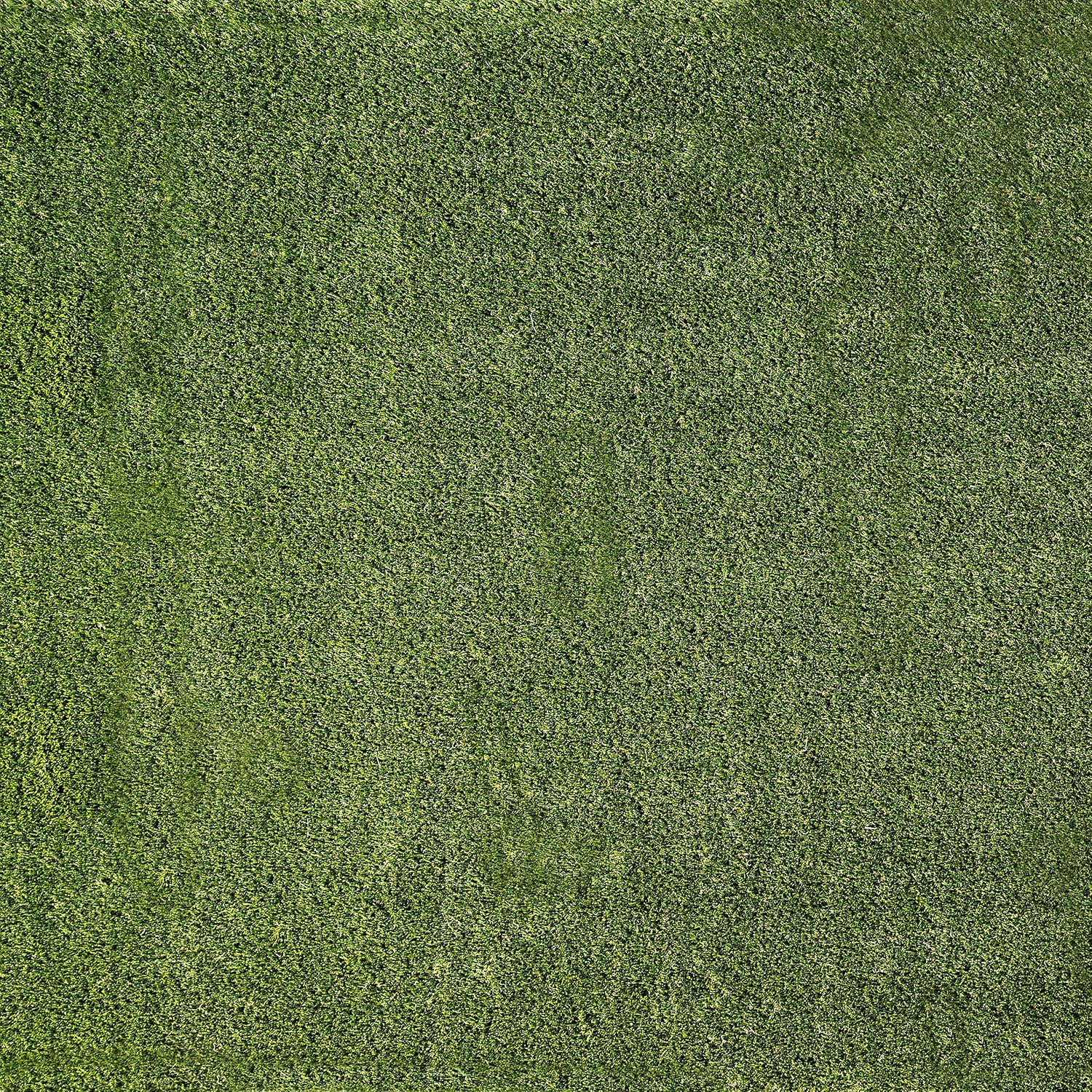 Amazon.com: MSI Artificial Turf 6 ft. x 8 ft. x 38mm, Large Outdoor ...