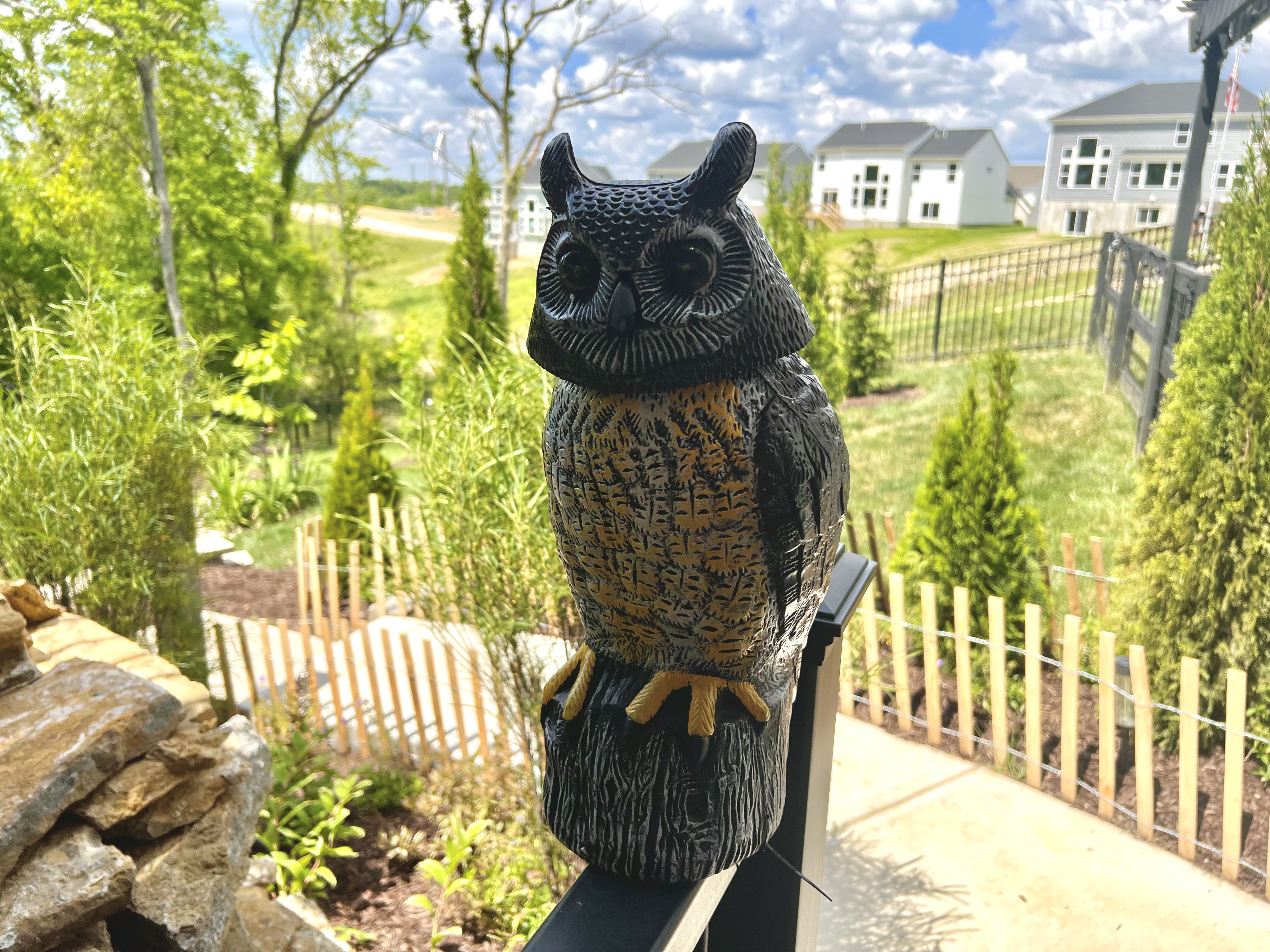 Watch Solar Powered Owl With Rotatable Head & Realistic Hoots on Amazon ...