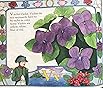 The Flower Alphabet Book (Jerry Pallotta's Alphabet Books): Pallotta ...
